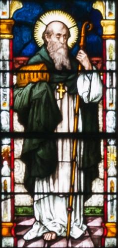 Saint Canice - Catholic Saint | Saint for a Minute: Saints & Blesseds